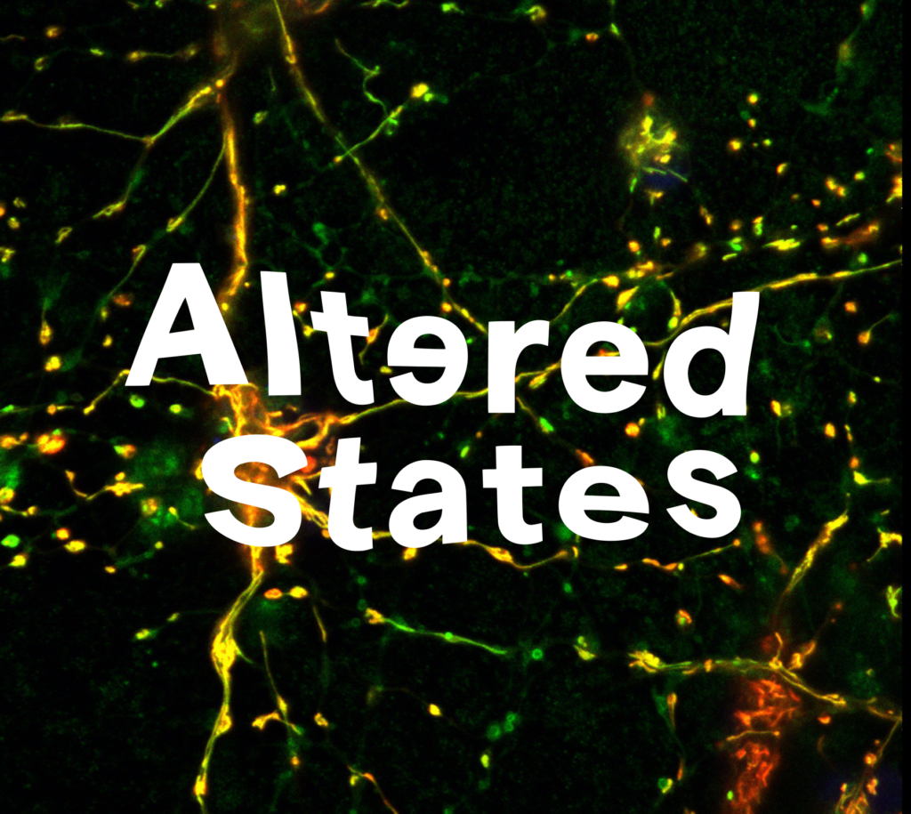 ALTERED STATES | PROGRAM - De Regentes